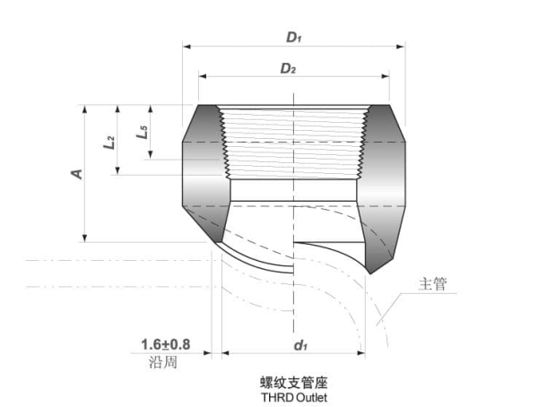 Threadolet ASTM A182 F304 CL3000