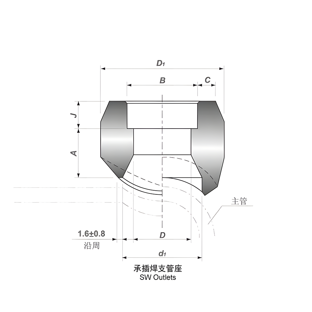 sockolet ASTM A105N CL3000